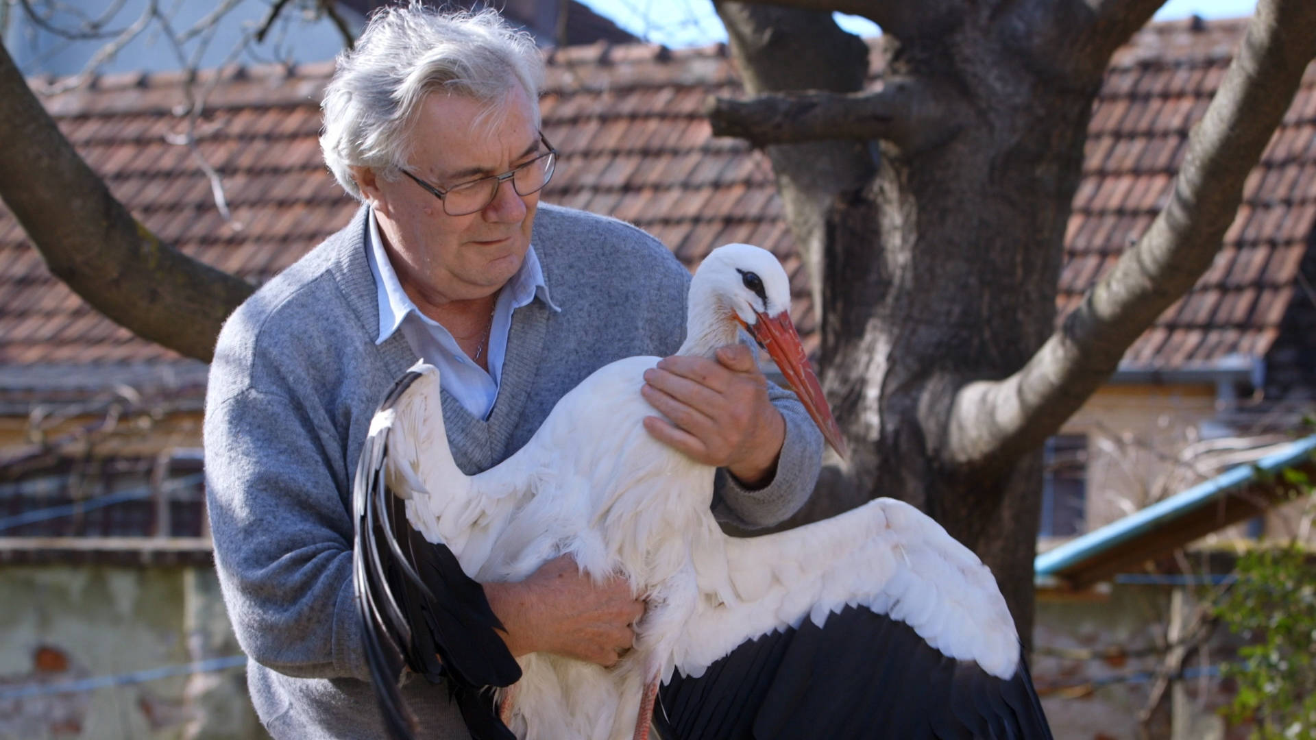 THE STORKMAN // K3 Film Festival – Villach, Austria